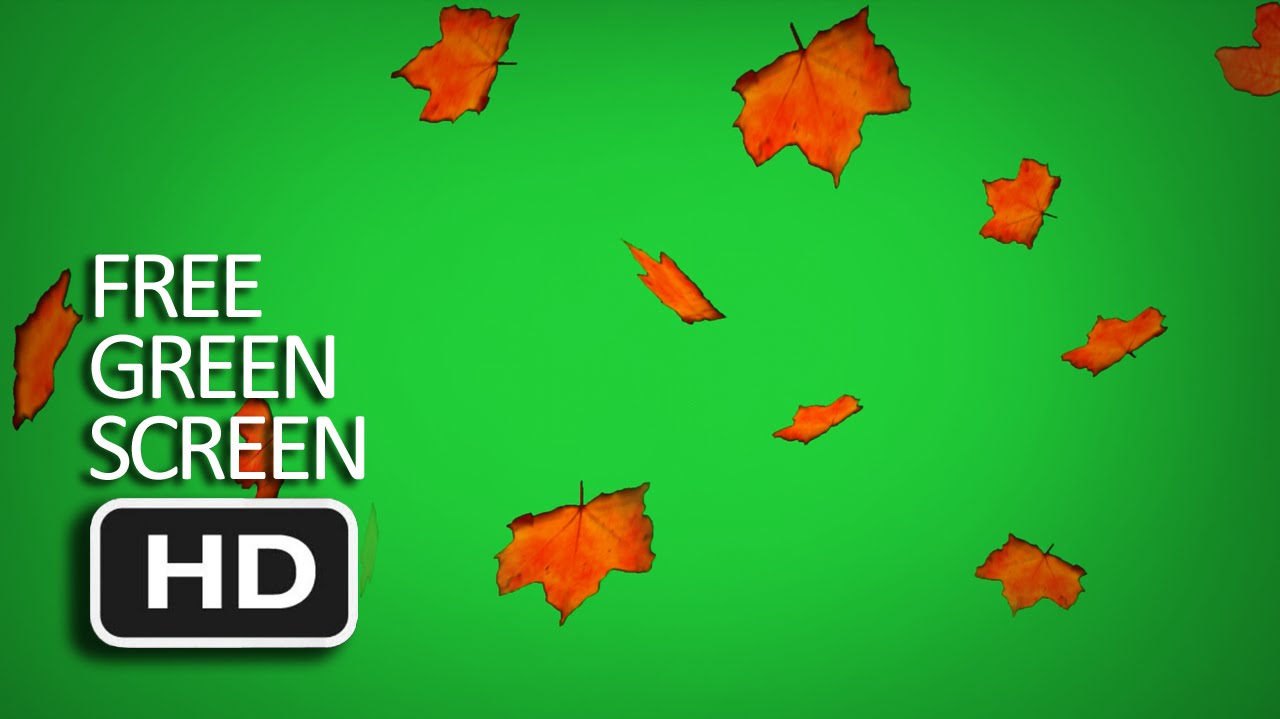 Free Green Screen - Falling Autumn Leaf - YouTube