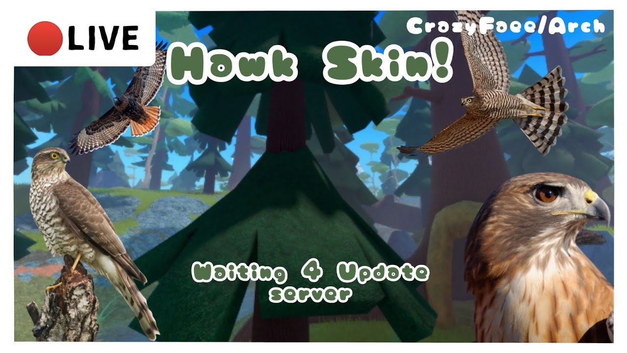 WAITING 4 UPDATE (HAWK SKIN!) [🔴LIVE] - YouTube
