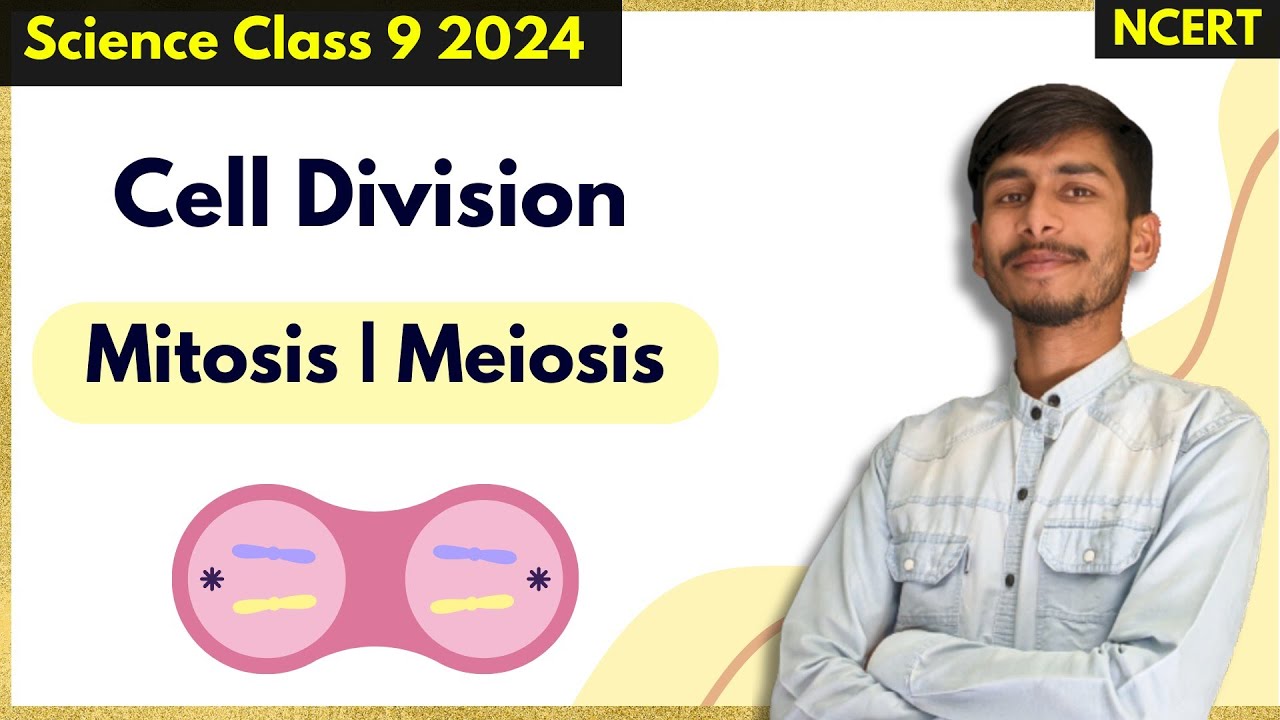 Class 9 Science | Cell Division | Mitosis and Meiosis | The Fundamental ...