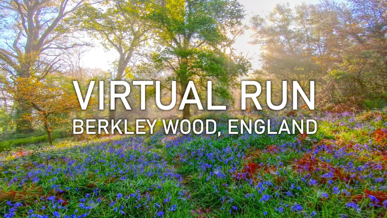 Virtual Run | Berkley and Black Dog Woods in Spring | Treadmill Running ...