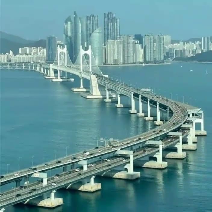 World History-Bridge flyover view #shorts - YouTube