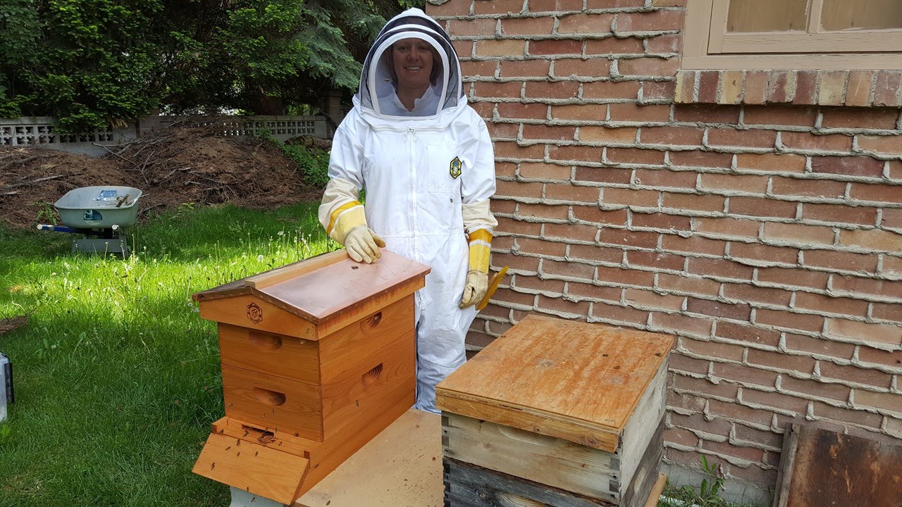 BEGINNING BEEKEEPING: Rachel's First Hive Inspection & Checkerboarding ...