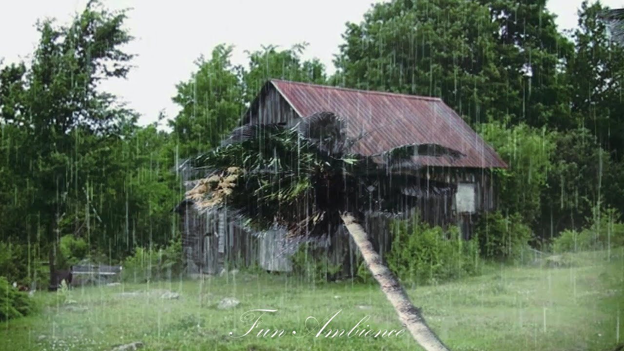 Rain falls on the hut inside a garden with shaking trees where there is ...