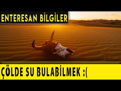 Çölde yaşam nasıldır? Çölde su yolları, Bedevilerin yaşantısı, Vaha nedir? İlginç Bilgiler