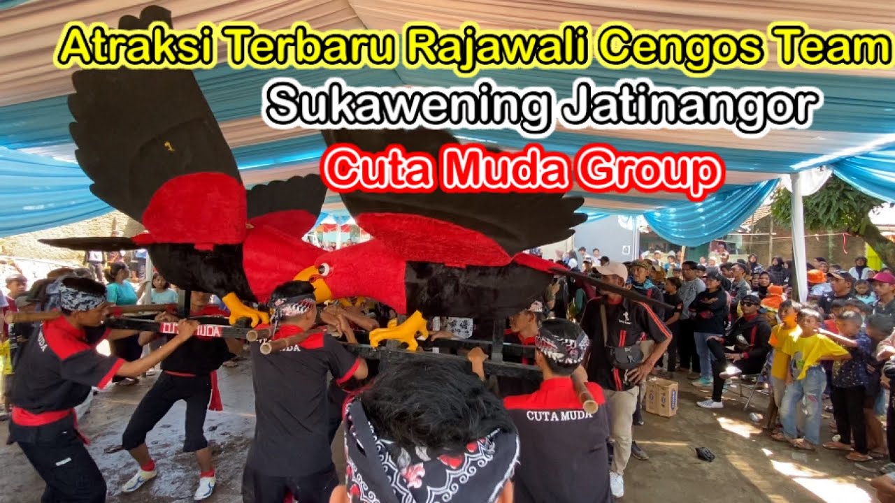 CutaMudaGroup Atraksi Rajawali Cengos Team💥Sukawening Jatinangor ...