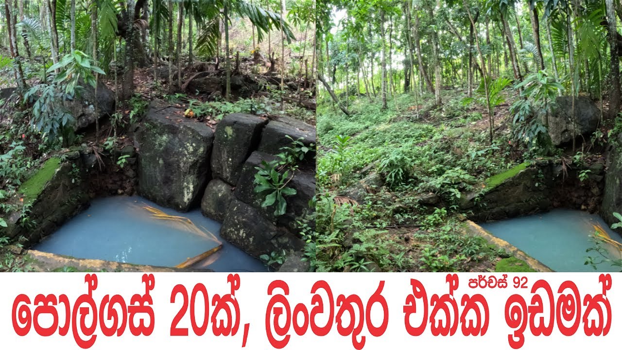 විලා එකක් ගෙයක් හදාගන්න හරිත පරිසරයක නියම ඉඩමක් #ApeSuduMalli-සුදුමල්ලි ...