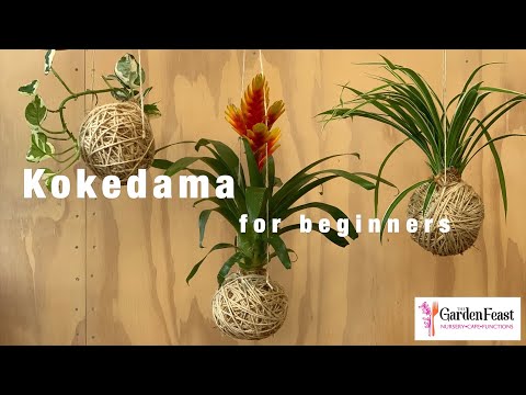 Kokedama for Beginners