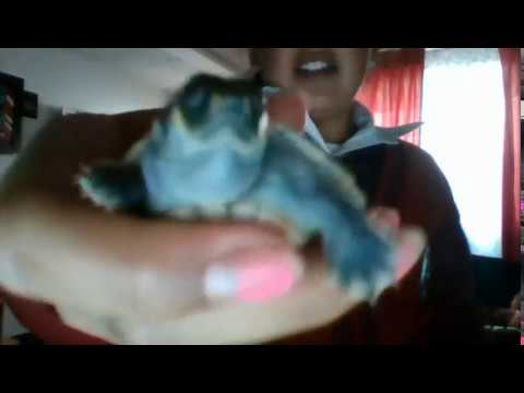 el reto de los pies cansados