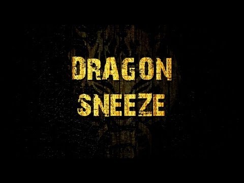 Rob Level - Dragon Sneeze (Lyric Video) - YouTube