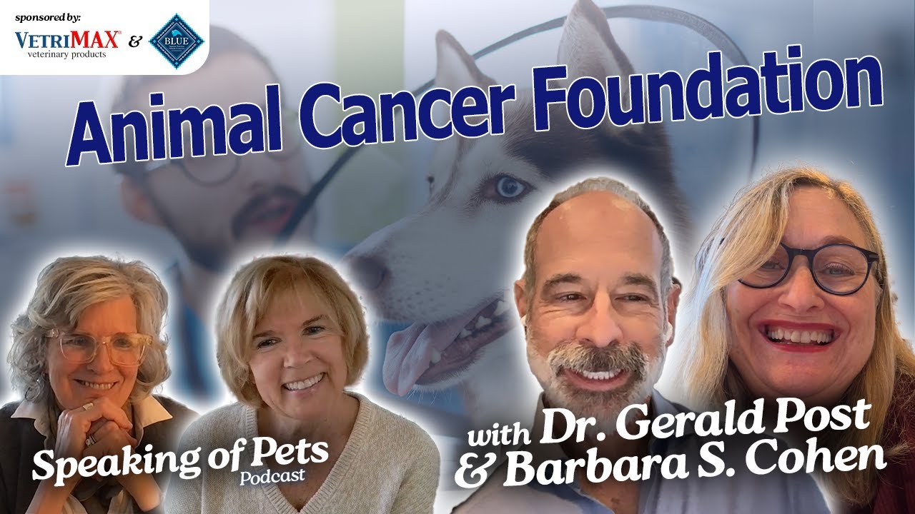 Founder and Director of The Animal Cancer Foundation | SOP ep. 46 - Dr ...