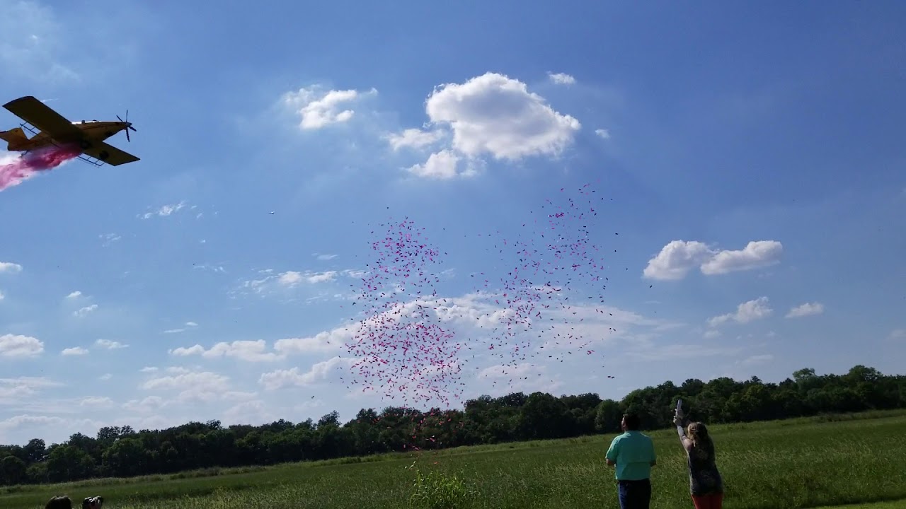 Epic Gender Reveal With Airplane - YouTube