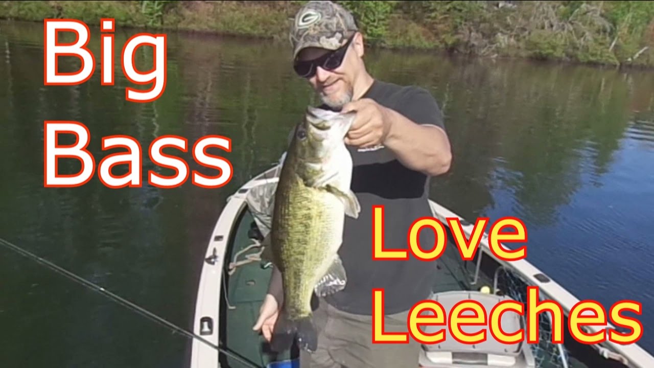 Special Leeches For Big Fish - YouTube