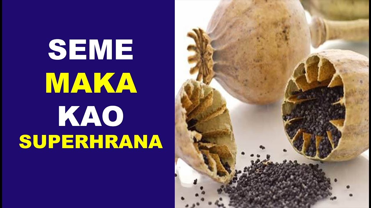 Seme maka kao superhrana - dr Bojana Mandić - YouTube