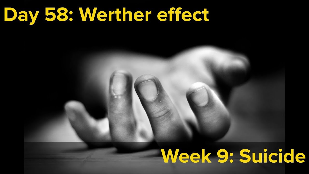 Werther effect - YouTube