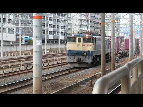 JR貨物 EF65-2081号機（新鶴見）＋コキ20両 貨物列車5087レ 2024.03.02 - YouTube