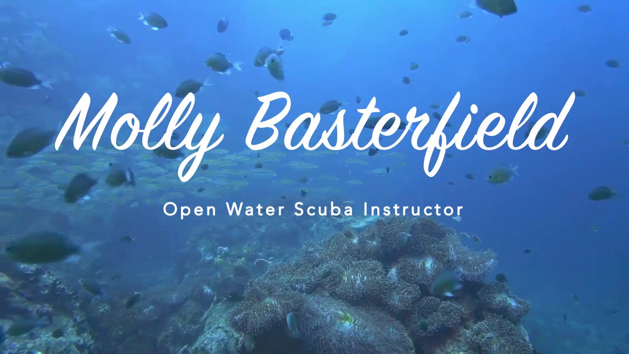 Scuba Diving- Molly Basterfield - YouTube