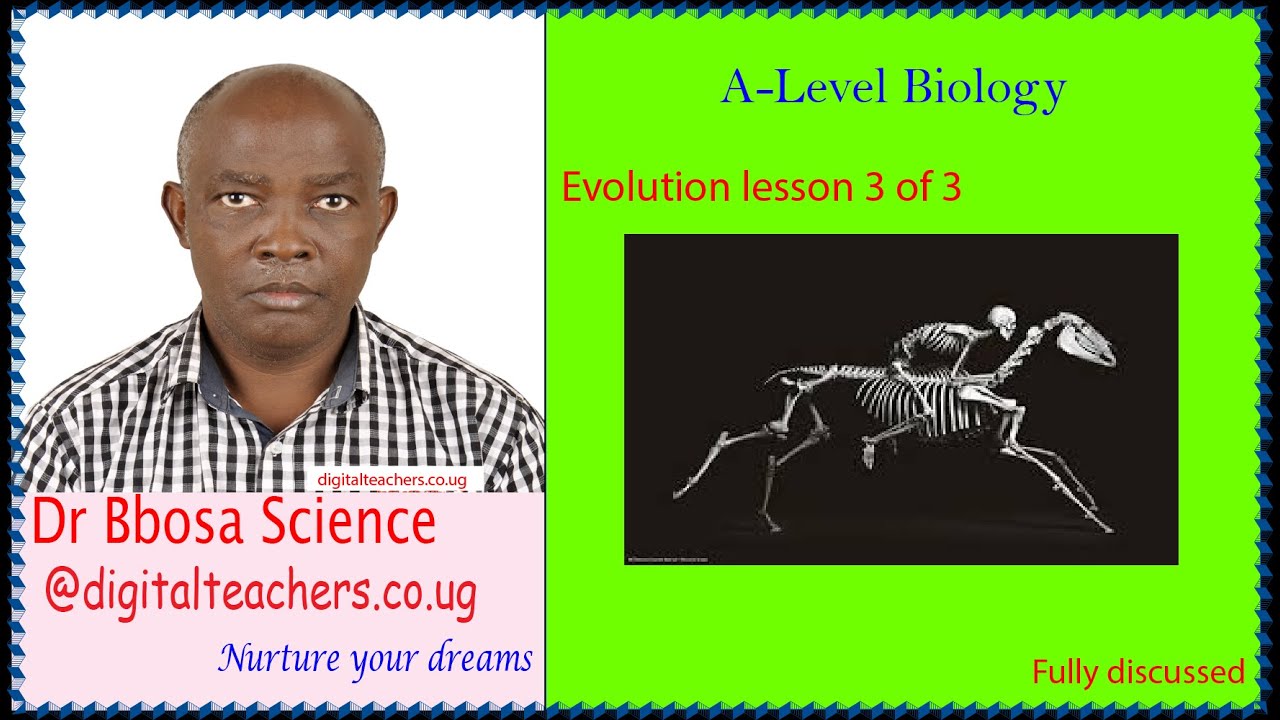 A-level biology lesson 53: Evolution lesson 3 of 3 or evidences of ...
