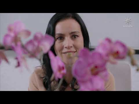 La Rosa de Guadalupe "LAS BATALLAS DEL AMOR" PARTE 2 - YouTube