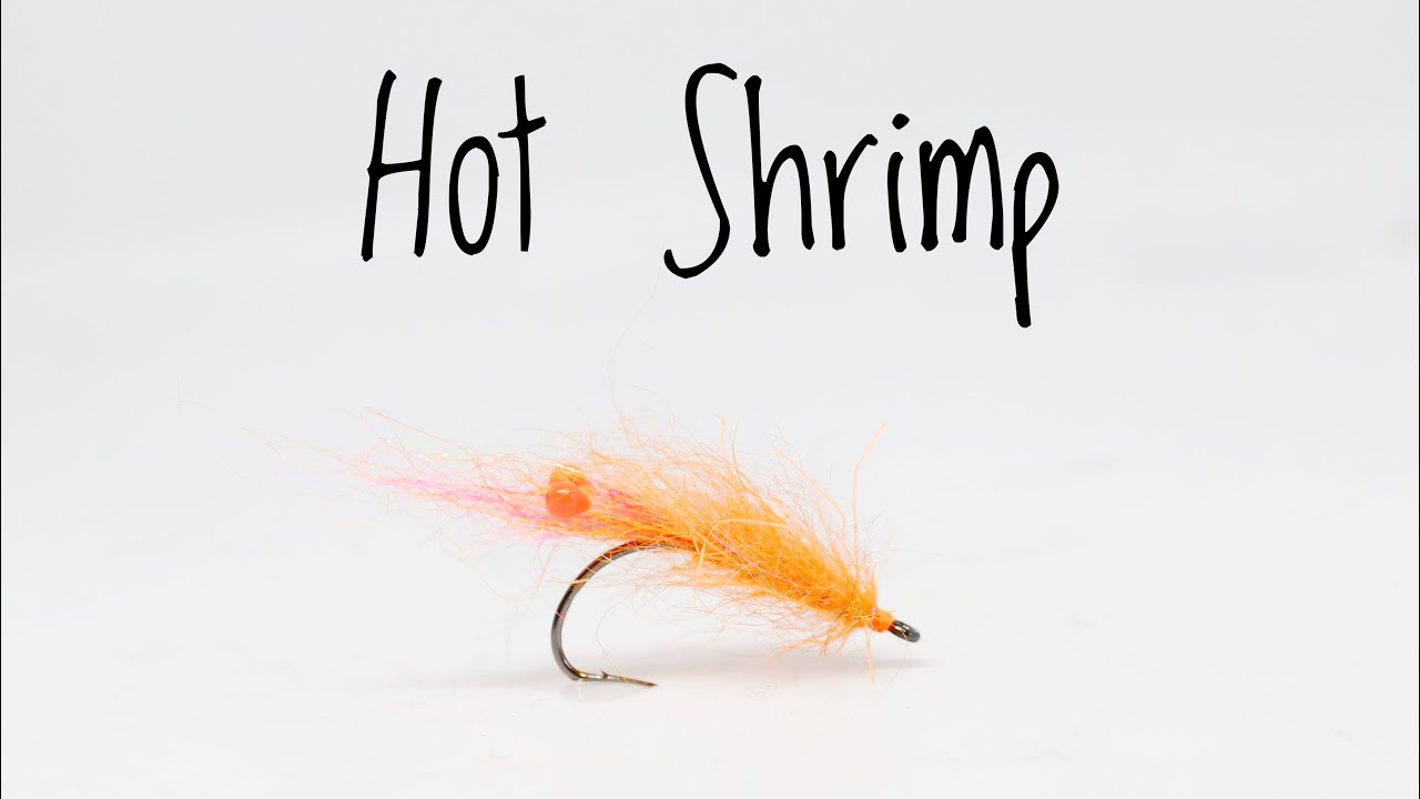 Hot Shrimp - Seatrout Coastal Fly Pattern - YouTube
