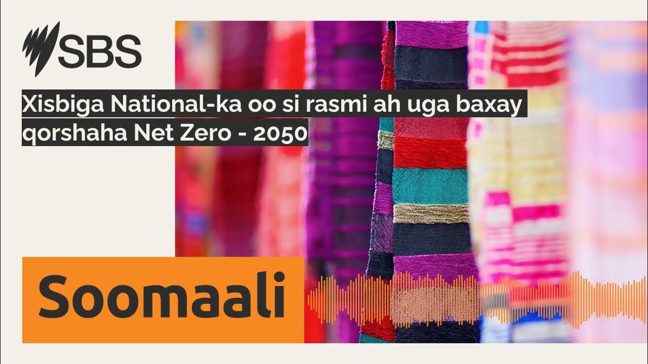 Xisbiga National-ka oo si rasmi ah uga baxay qorshaha Net Zero - 2050 | SBS Somali - SBS ...