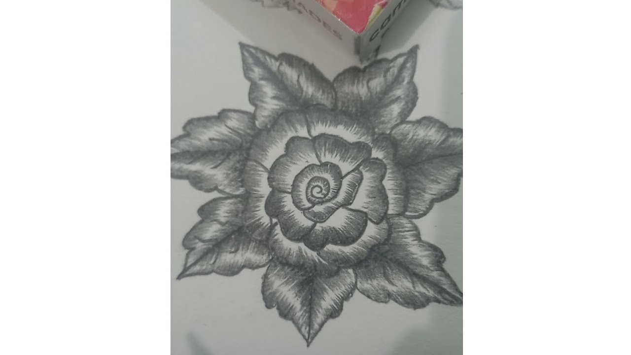 Easy Sketching for Beginners | Rose Dawing | Rose Flower Drawing - YouTube