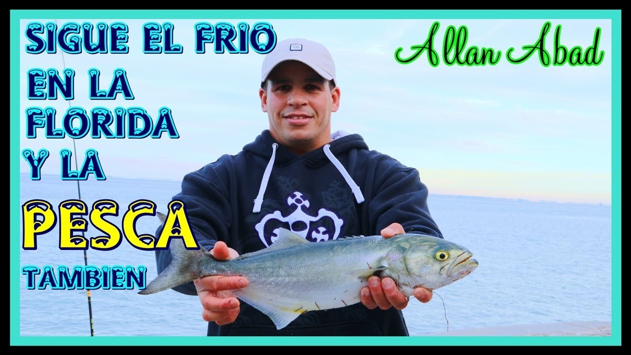 SIGUE EL FRIO EN LA FLORIDA Y LA PESCA TAMBIEN \\Allan Abad - YouTube
