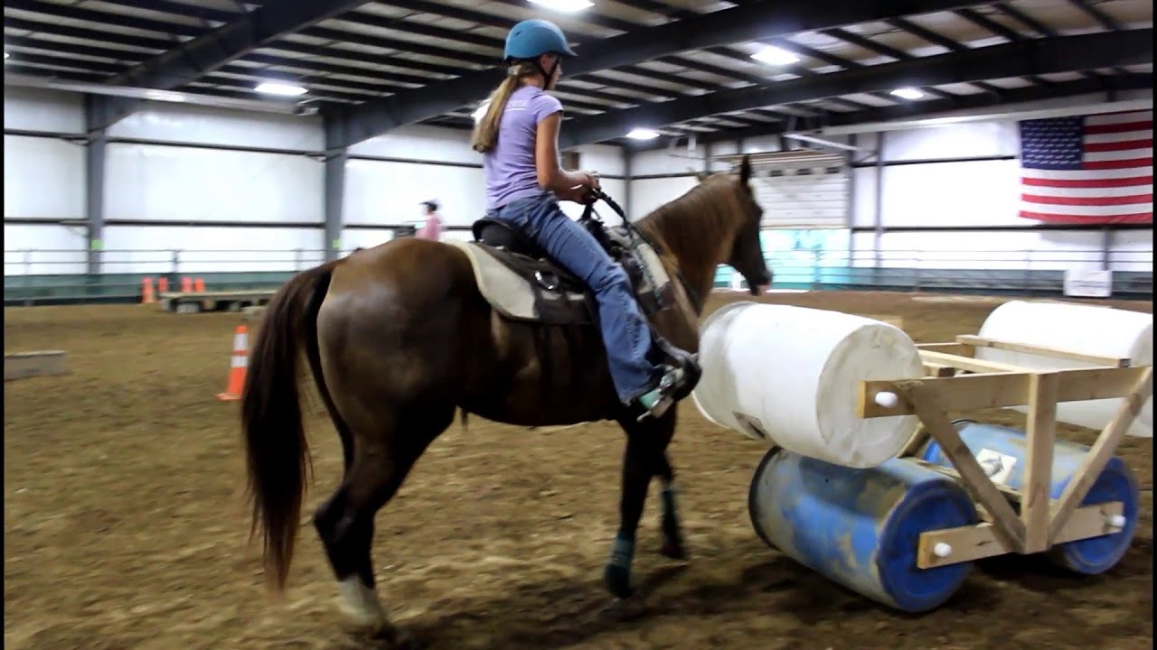 RIDING BRIDLELESS ON OBSTACLES?!! - YouTube