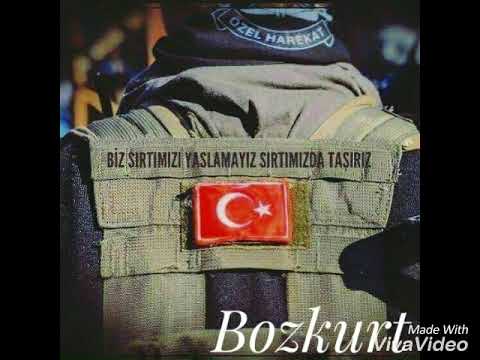 TSK'nın Aslanları