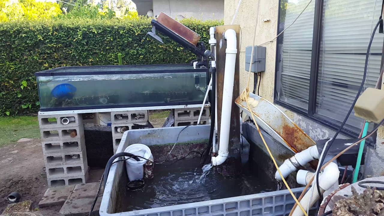 O2manyfish 400g reef outdoor rock sump - YouTube