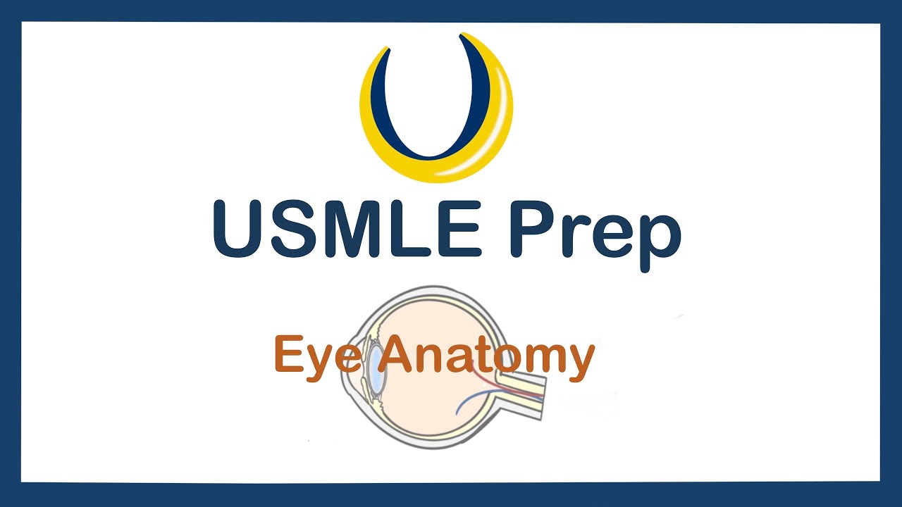 USMLE First Aid Follow Along- Ophthalmology- Anatomy of the Eye - YouTube