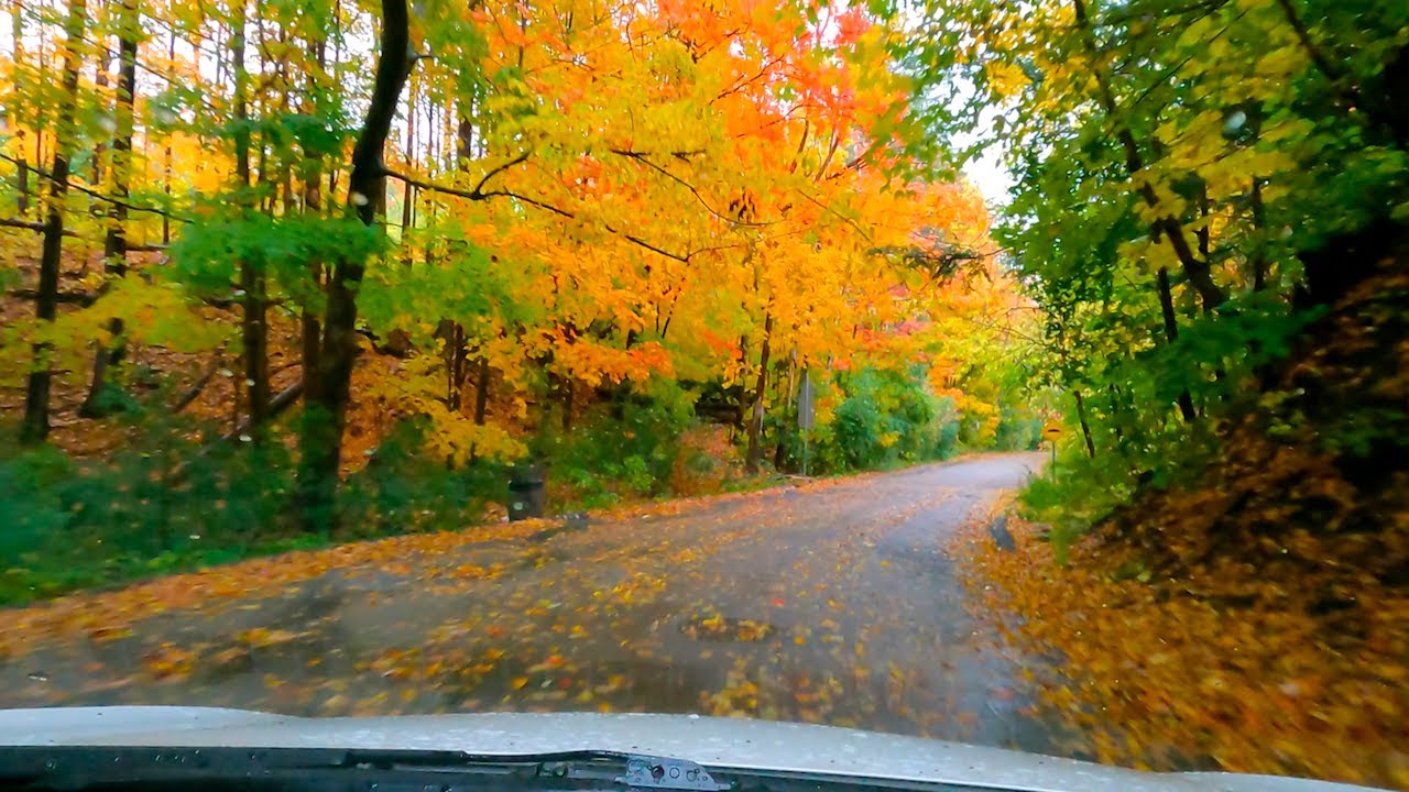 【4K】🍁Fall Colours | Bayview Avenue & Sunnybrook Park | Toronto Ontario ...