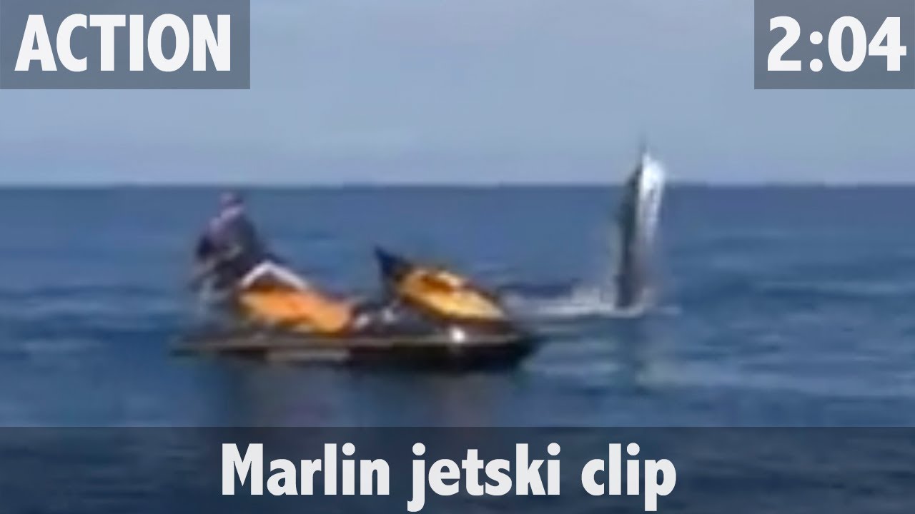 Marlin from a Jetski - YouTube