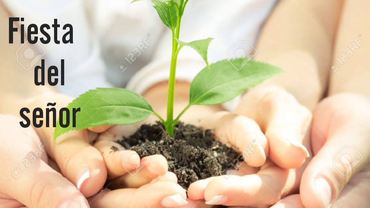 Reverdecer como un árbol joven - YouTube