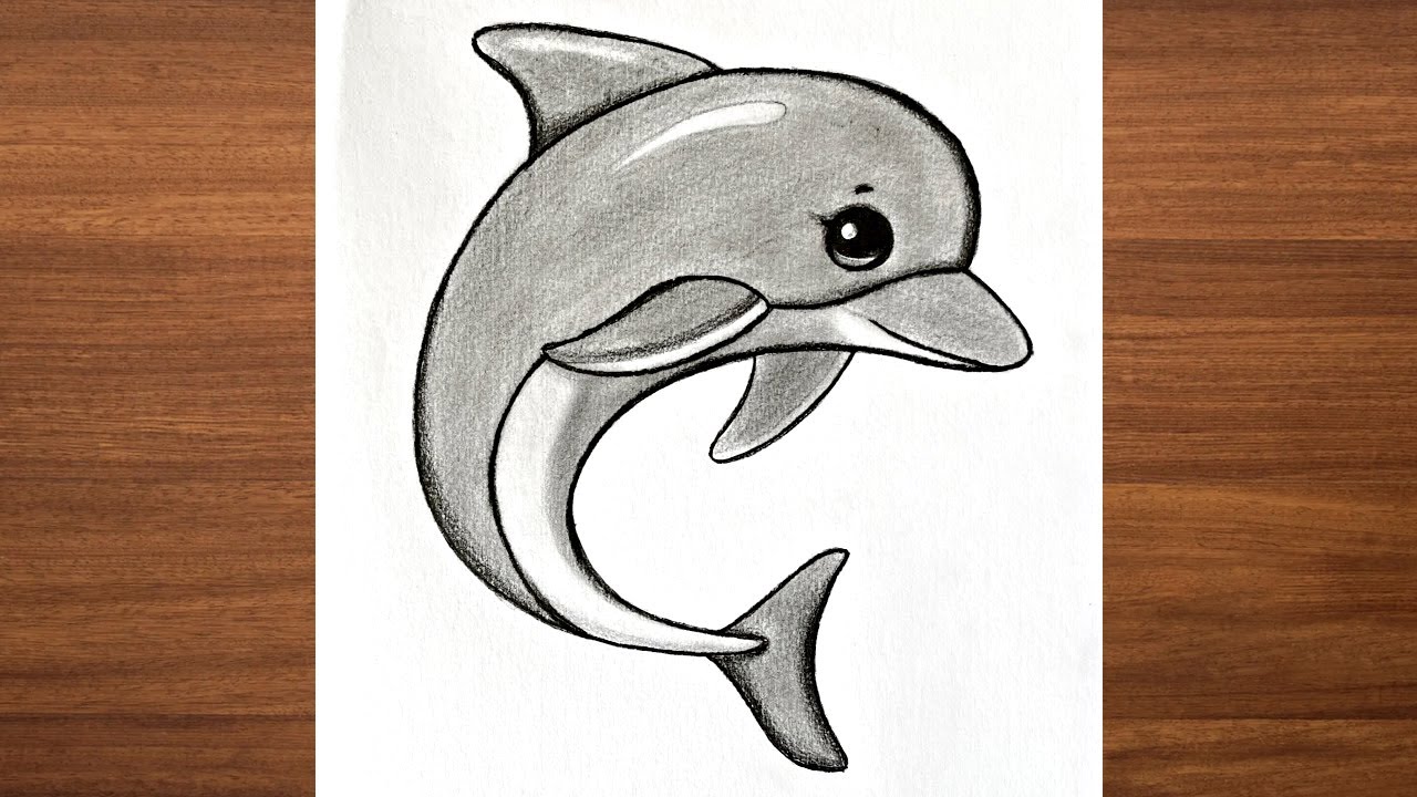 Easy Dolphin Drawings