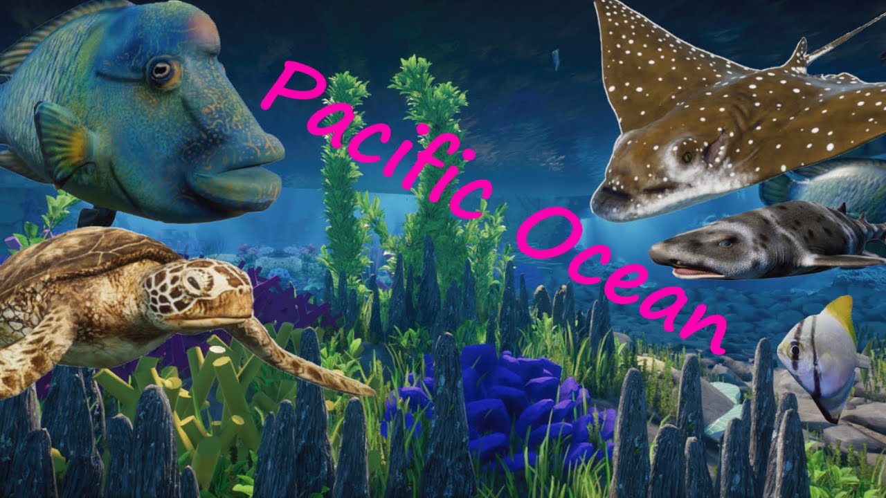 Pacific Ocean - Backyard Zoo - Planet Zoo - YouTube