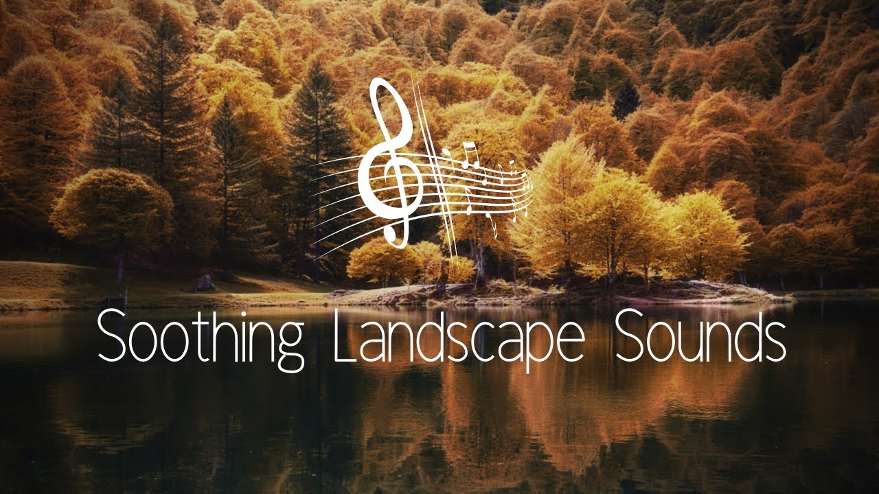 Soothing Landscape Sounds: Relax and Unwind with Nature's Melodies ...