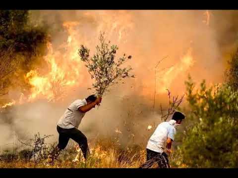 ÇIĞLIK - ERSİN BARAN