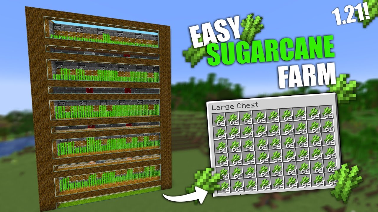 Cách Làm Máy Farm Mía Cơ Bản Đến Nâng Cao Trong Minecraft - YouTube