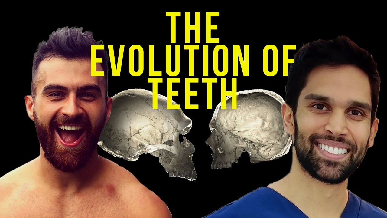 The Evolution of Teeth #85 with Dr Sahil Patel - YouTube