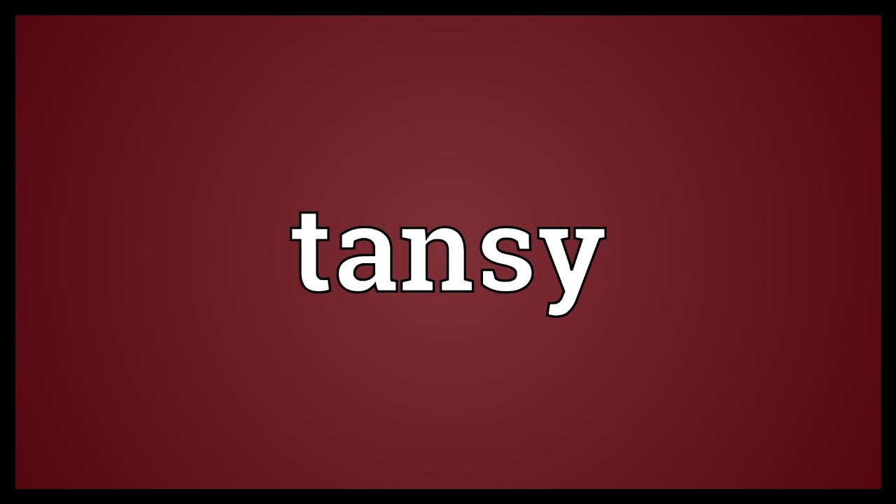 Tansy Meaning - YouTube