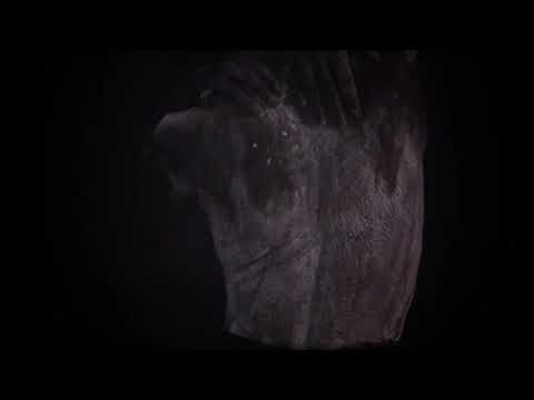 Crows, Reckoning | Poem by Jessica Goodfellow | Film by COMMANDR - YouTube
