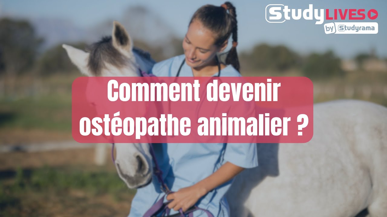 Comment devenir ostéopathe animalier ? - YouTube