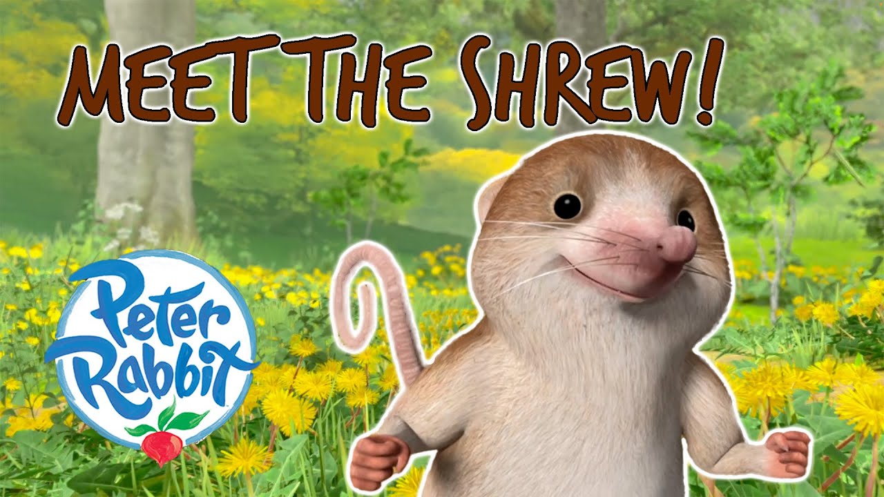 @OfficialPeterRabbit - Meet The Shrew! | Meet the Characters | Cartoons ...