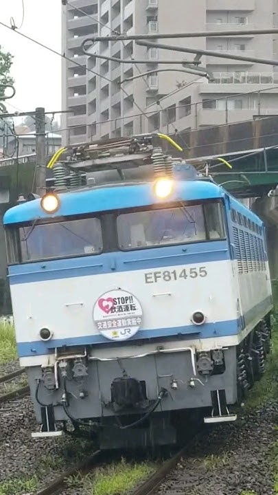 EF81-455号機（HM付き）#電車 #貨物列車 #jr貨物 #ef81 #おすすめ - YouTube