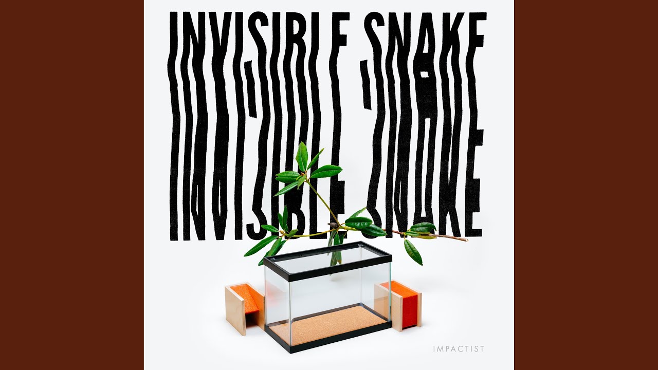 Invisible Snake - YouTube