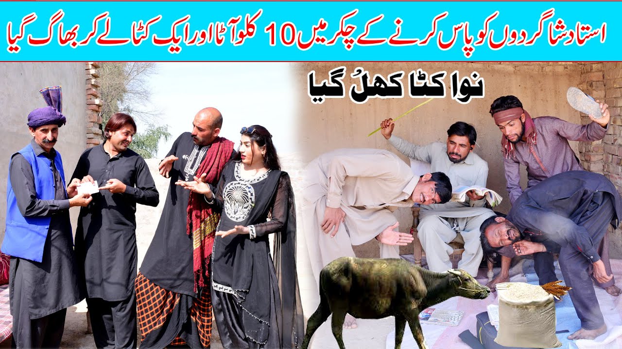 Techar And Student||Shamzi ch koki hera payal khan dani denghari by ...