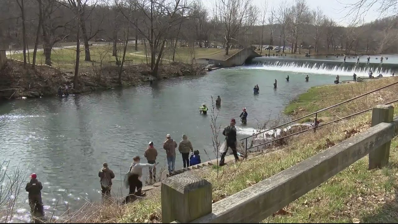 Bennett Springs prepares for opening day of trout season - YouTube