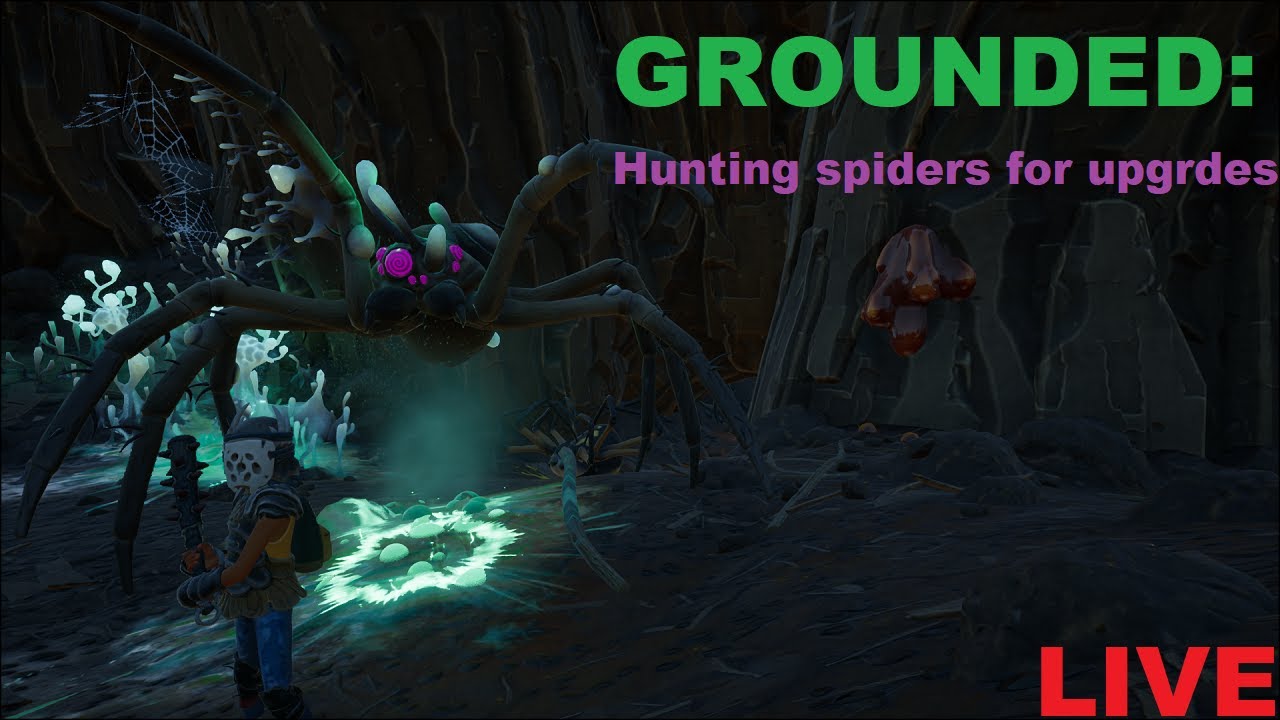 Grounded: Hunting spiders for resources. - YouTube