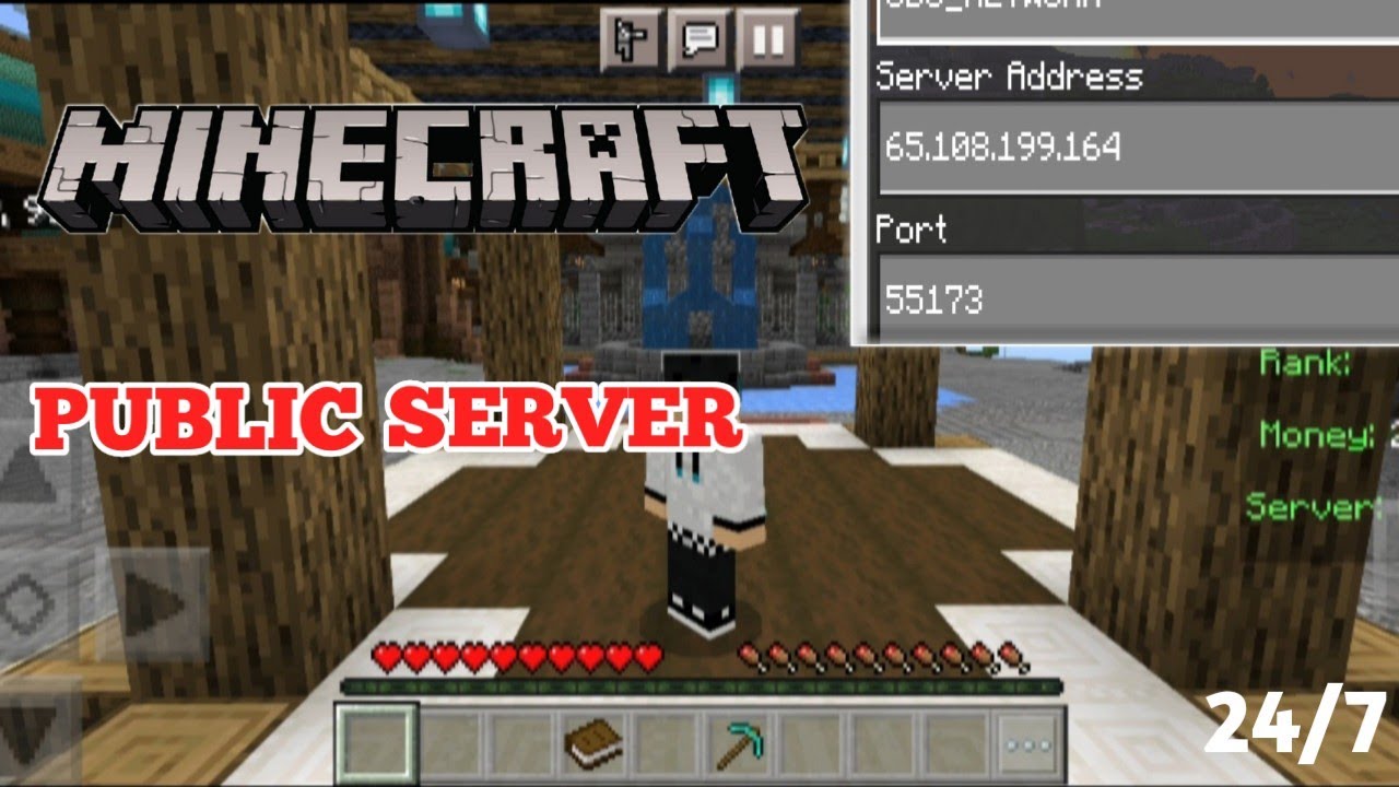 Unleash Your Power on the Ultimate Minecraft Lifesteal Public Server ...