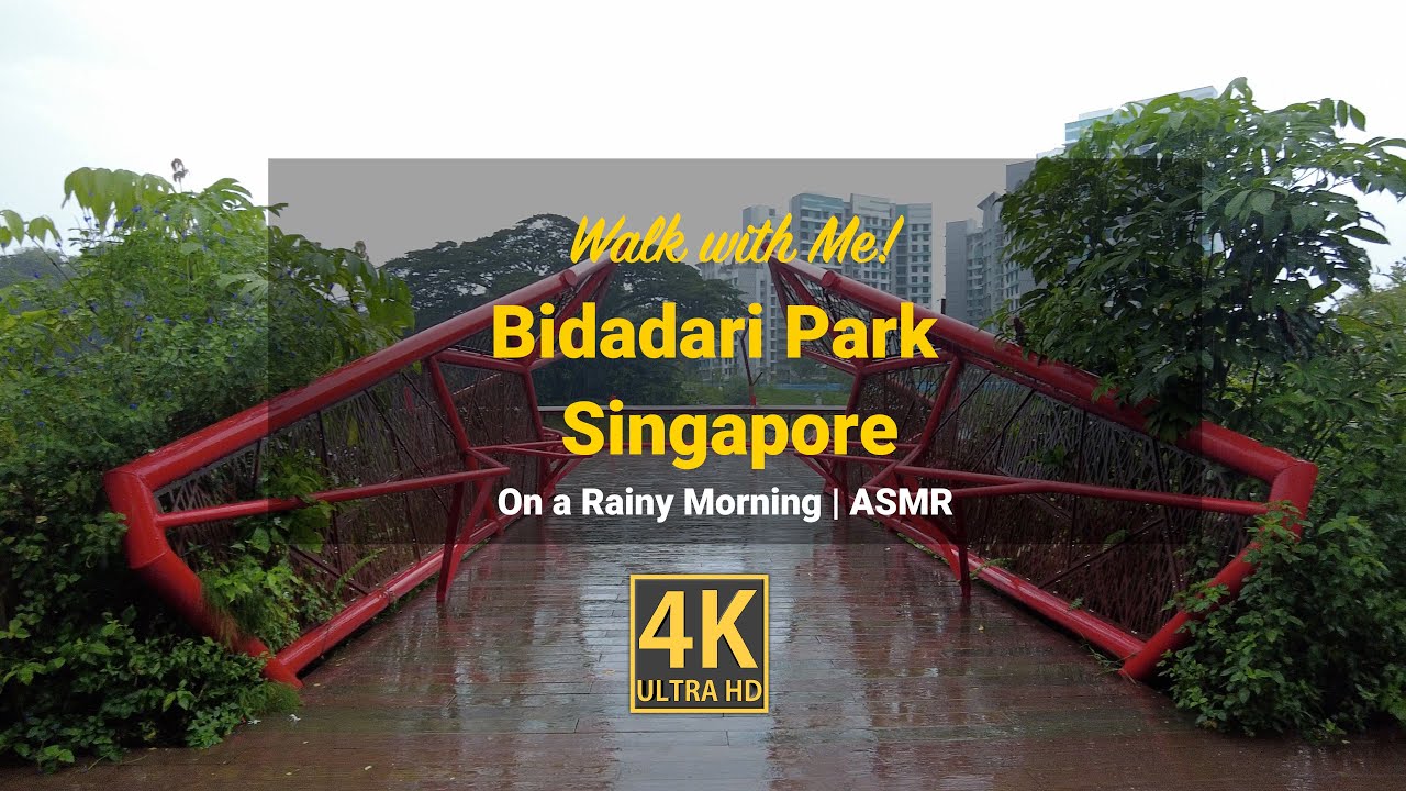 Singapore Walking Tour at Bidadari Park on a rainy morning | Rain walk ...